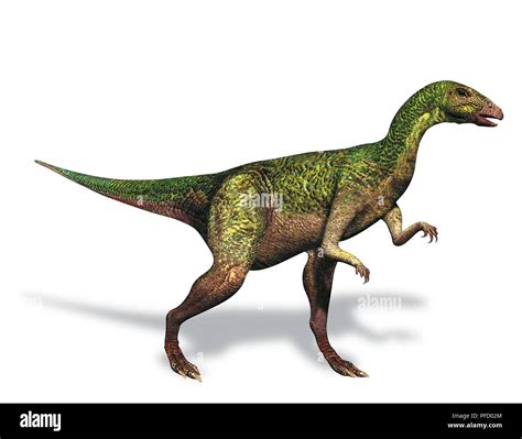 Walking With Dinosaurs Dryosaurus
