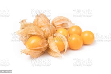 케이프 구 즈 베리 흰색 배경에 고립 Physalis 과일 0명에 대한 스톡 사진 및 기타 이미지 Istock
