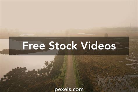 Peatlands Wetlands Videos Download The Best Free 4k Stock Video Footage And Peatlands Wetlands Hd