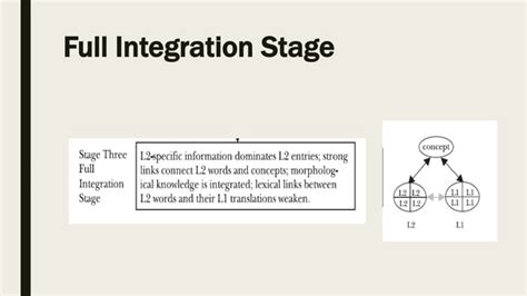 Semantic Transfer And L2 Vocabulary Acquisition Ppt