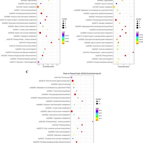 Gene Ontology Enrichment Analysis In Pairwise Comparisons A Go