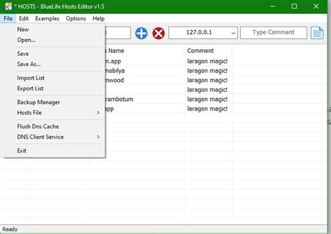 Host Editor Features Buton Or Context Menu Import Export List Dns