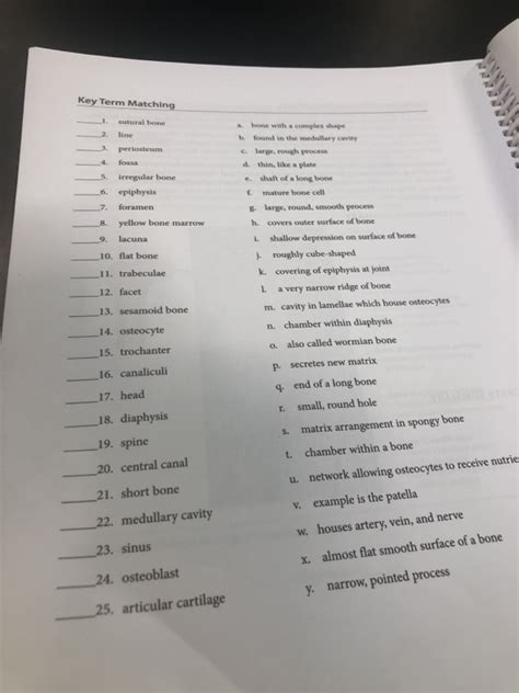 Solved LABORATORY ZA Lab Report Skeletal System Bone Chegg
