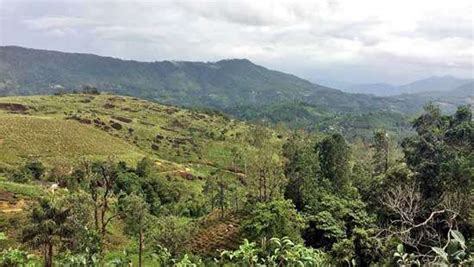 Stripping The Environment Naked In The Guise Of Development Plus Daily Mirror