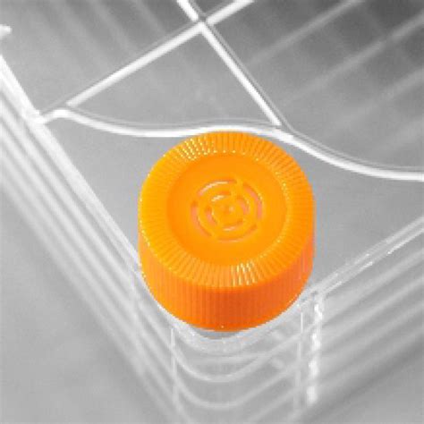 Cell Factory Atlantis Bioscience Pte Ltd