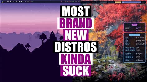 I Would Never Install A Brand New Linux Distro Youtube
