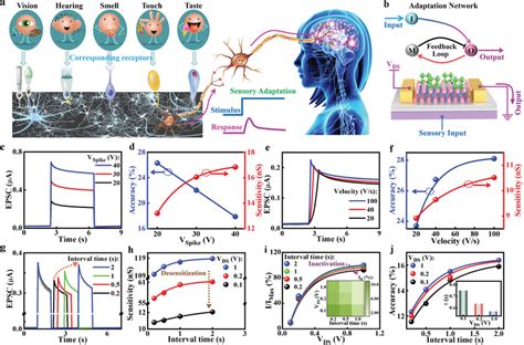 Reconfigurable Sensory Adaption A Schematic Diagram Of The Sensory