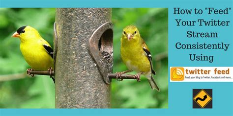 How To Use Twitterfeed Consistent Twitter Presence Growmap