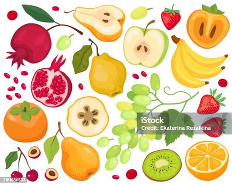 다양한 과일을 모으고 있습니다 석류 배 사과 포도 바나나 감 체리 딸기 모과 오렌지 키위 감에 대한 스톡 벡터 아트 및 기타 이미지 Istock