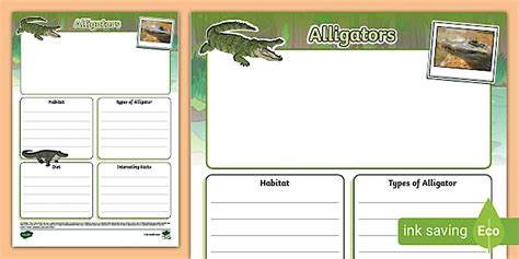 Alligator Fact File Template Teacher Made Twinkl