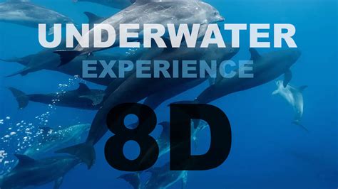 Underwater Experience 8d 360 Binaural Audio 3dvista Marketplace