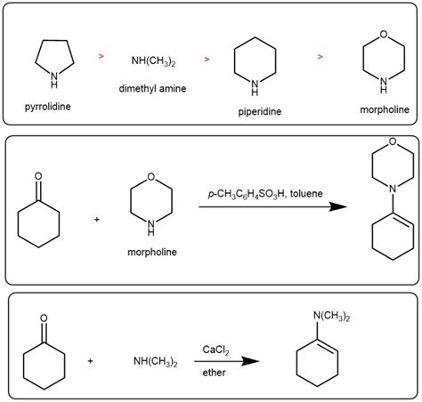 Stork Enamine Synthesis Alkylation Of Aldehyde Or Ketone My