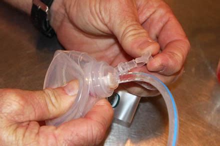 Jackson Pratt JP Drain Vascular