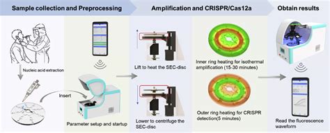 New Crispr Based Analysis System Enhances Rapid Pathogen Detection