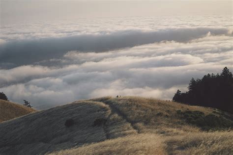 Introduction To Ridge Regression