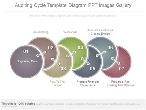 Auditing Cycle Template Diagram Ppt Images Gallery