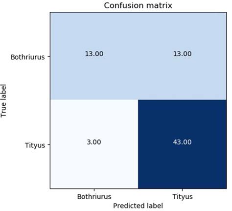 confusion matrix for the ‘dnn with tl model download scientific