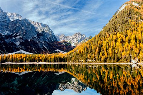 산 바위와가 숲 Braies 호수 백 운 석 알프스 이탈리아의 물에 반영 0명에 대한 스톡 사진 및 기타 이미지 0명 가을 가을 단풍 Istock