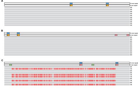 Figure 1 From Sequencing By Hybridization Of Long Targets Semantic Scholar