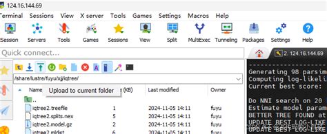 零基础操作linux系统——小白版（入门级绘制系统发育树）linux Fastatree Csdn博客