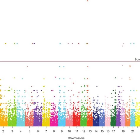Genome Wide Plot −log 10 P Values For Associations Of Snp With The Download Scientific