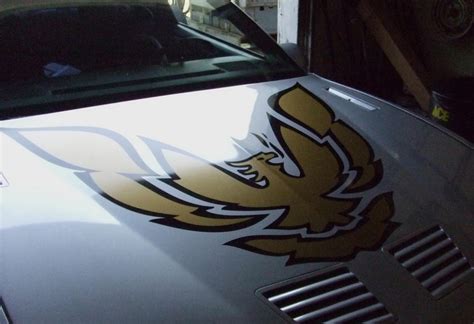 Firebird Hood Decal By Squejo On Deviantart