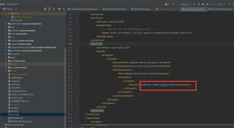 Nacos中data文件夹有路径配置项么 · Issue 10173 · Alibabanacos · Github