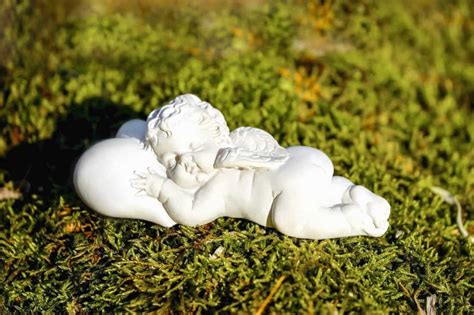 Free Picture Statue Figure White Angel Grass Nature Shadow Daylight