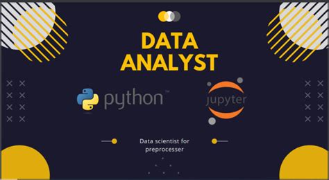 Be Your Data Analyst Do Analysis And Visualization In Python By Aliramzan660 Fiverr
