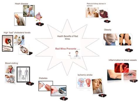 Health Benefits Of Wine Red Wine Benefits Wine Benefits Wine Guide