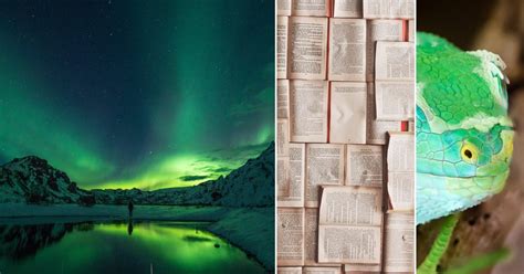 List Data Science Concepts Curated By Adrien Gc Medium