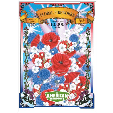 Floral Fireworks Jumbo Packet American Meadows
