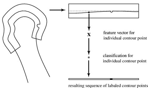 1 Scheme Of The Quantification Process Download Scientific Diagram