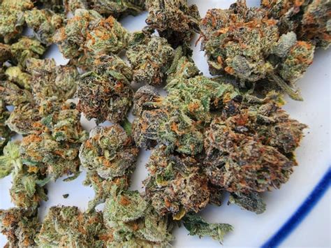 Bc Organic White Rntz By Simply Bare Or Sunset Sherbet By Broken Coast