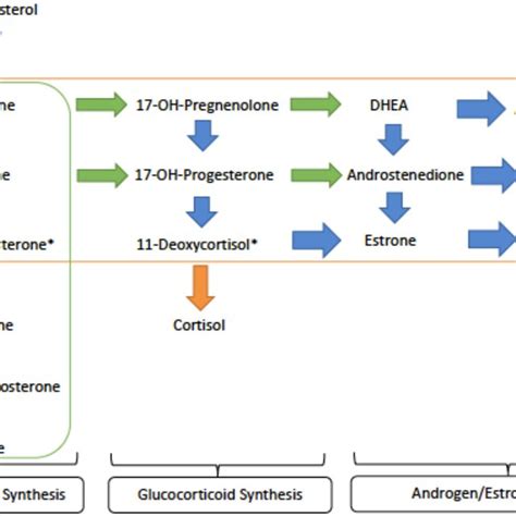 An Overview Schematic Of Gordon Syndrome Pathophysiology And Treatment Download Scientific