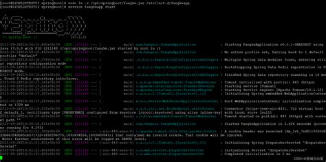 Springboot部署二 Linux服务器部署新买的linux服务器怎么部署运行springboot Csdn博客