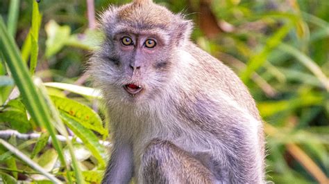 Conservación de la materia Qué es y cómo se aplica en la práctica