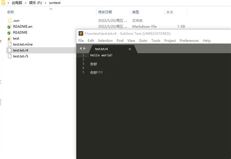 Tortoisesvn新人使用指南svn提交新增的文件 Csdn博客