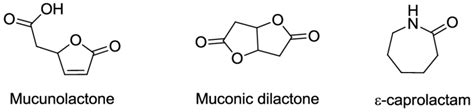 Structures Of Lactones And Caprolactam Obtained From Muconic Acid