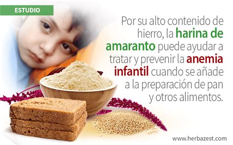 La Harina De Amaranto Ayuda A Reducir La Prevalencia De Anemia Infantil