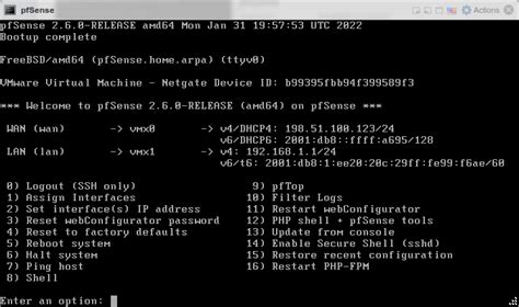 Virtualizing PfSense Software With VMware VSphere ESXi PfSense