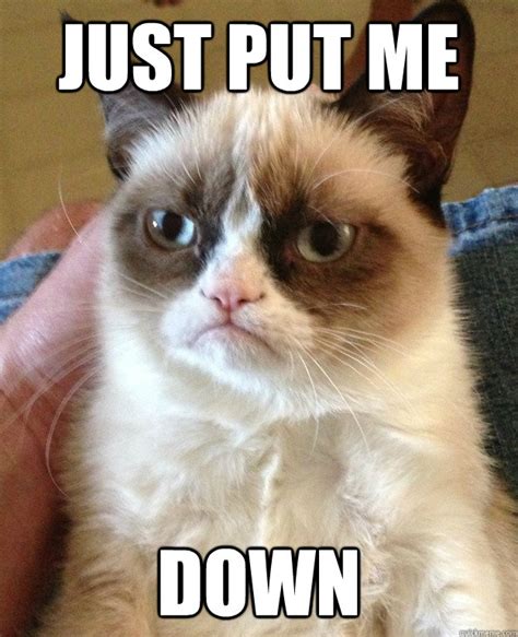 Put Me Down Grumpy Cat Know Your Meme