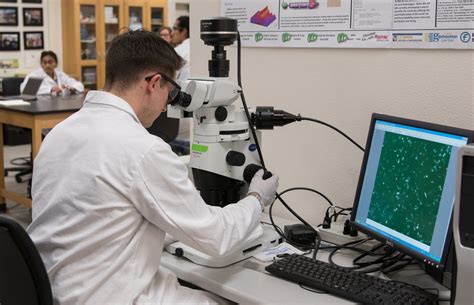 Estudiar Ingeniería Biomédica Qué Estudiar