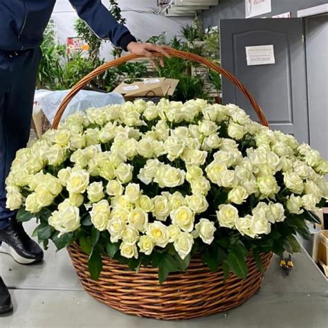 501 белая роза в корзине 💐 купить по цене 114 440 ₽ с доставкой в Москве