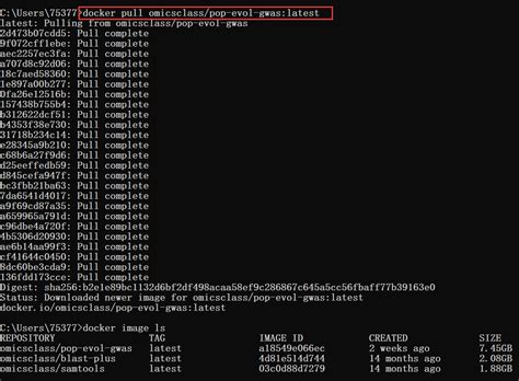 Docker Pull越来越慢的解决方法 小鲨鱼2018 博客园