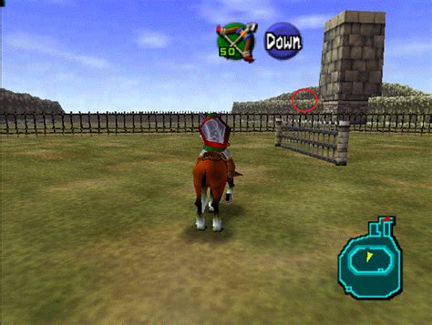 File Ranch Wonderitem OoT Randomizer Wiki