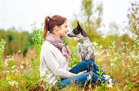 Meilleur Tracker Gps Pour Chien Guide De Lacheteur I Love Carlins