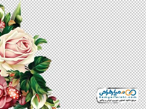 تصویر گل 07240631