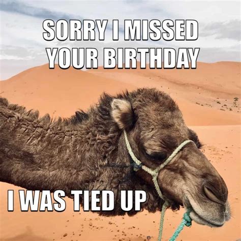 Belated Birthday Memes Personalized Templates