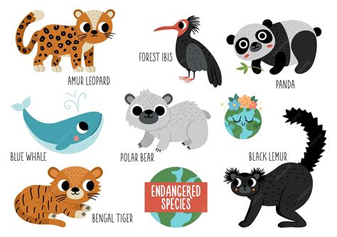 Vector Conjunto De Especies En Peligro De Extinción Linda Colección De